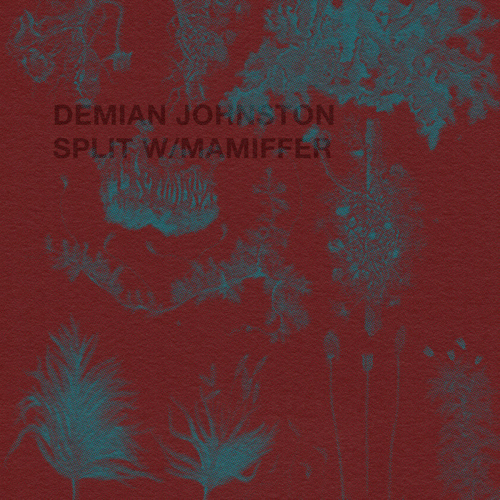 Split w/Mamiffer | Demian Johnston