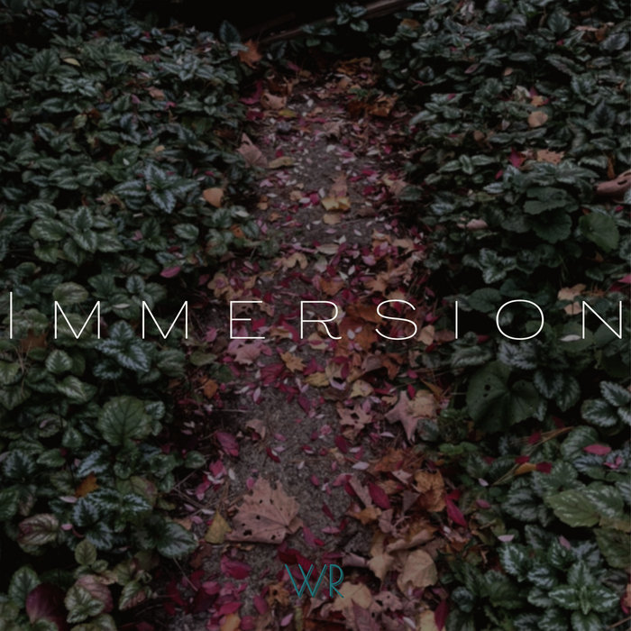 Immersion | Wendy Roth