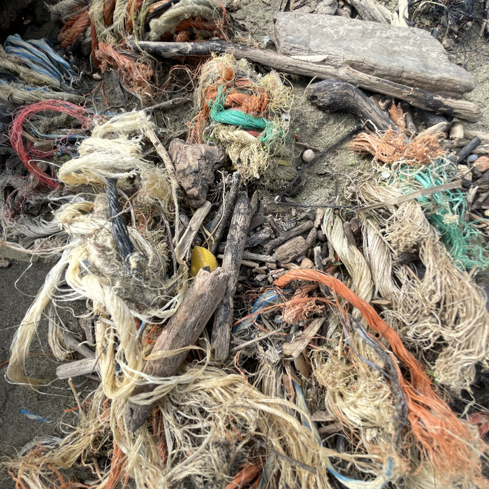 rumspringa | scrub land