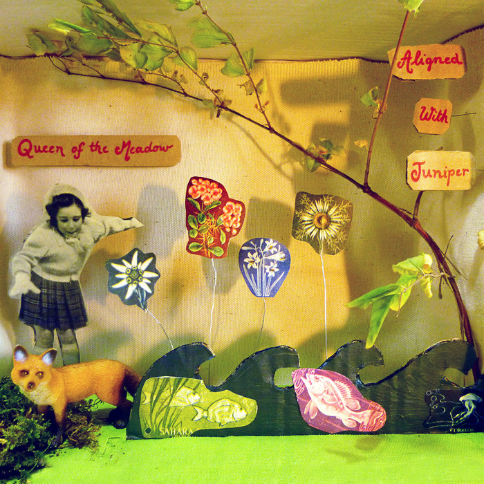 Aligned with Juniper | Queen Of The Meadow