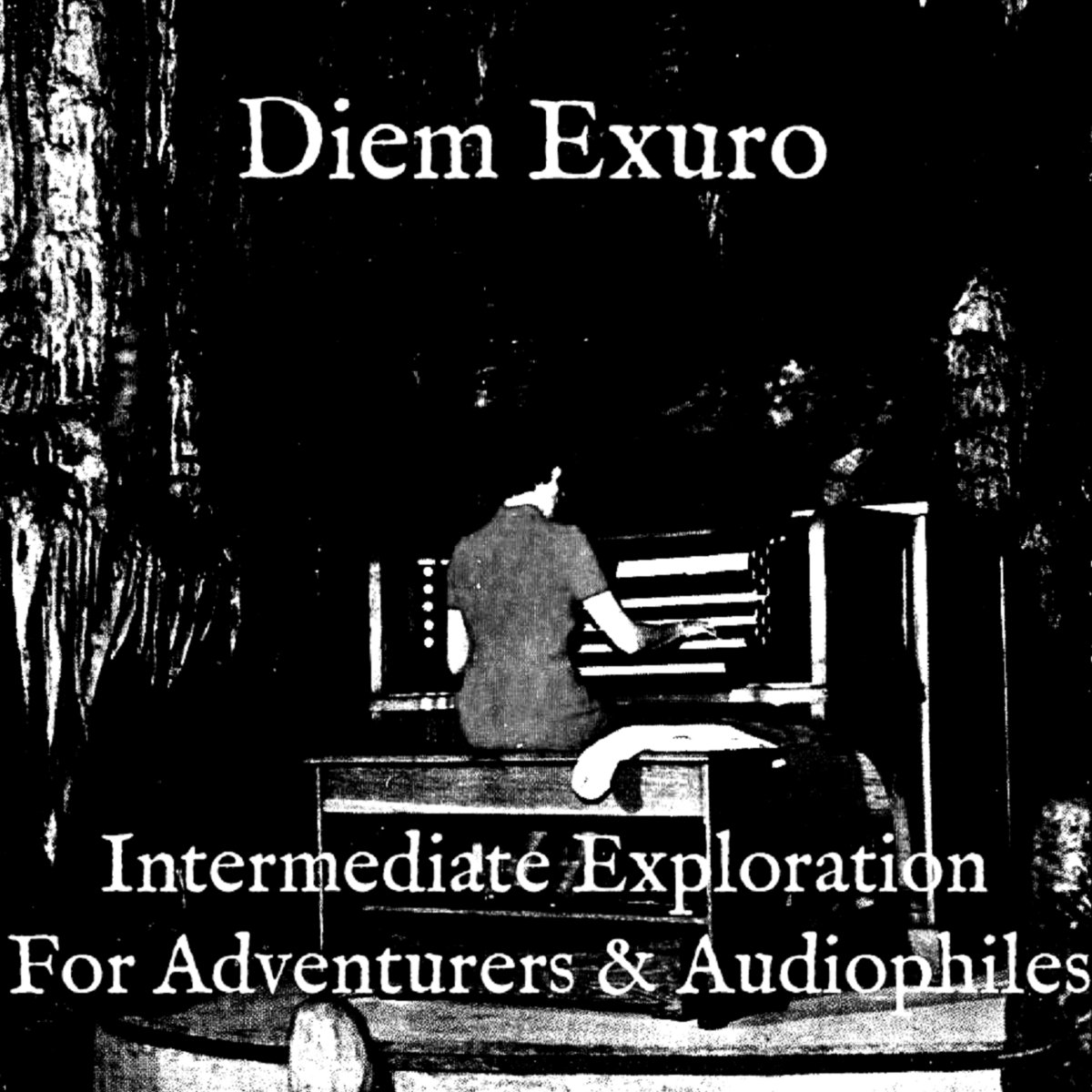 Intermediate Exploration for Adventurers & Audiophiles | Diem Exuro
