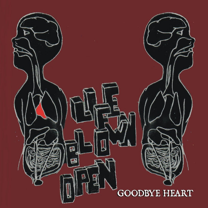 Goodbye Heart | Life Blown Open