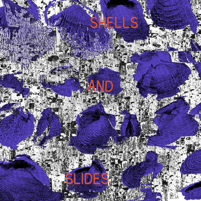 Shells and Slides | nervousdata