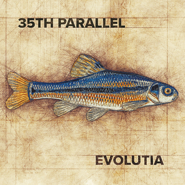 Evolutia | 35th Parallel
