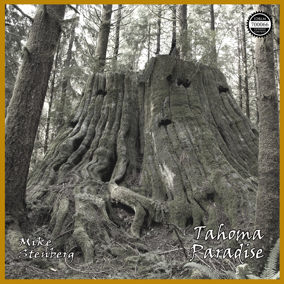 Tahoma Paradise | Mike Stenberg