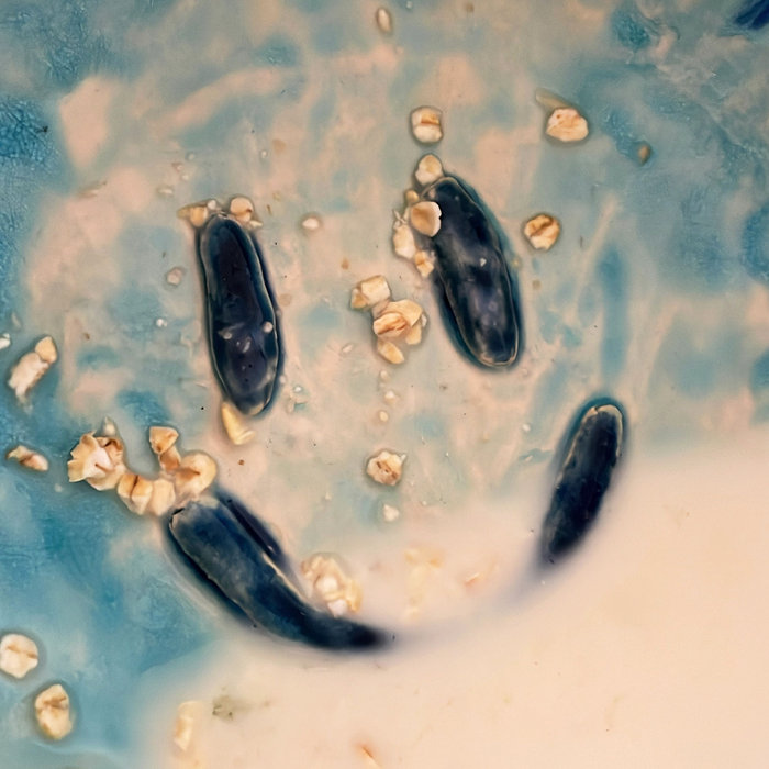 Dance Again | andhim