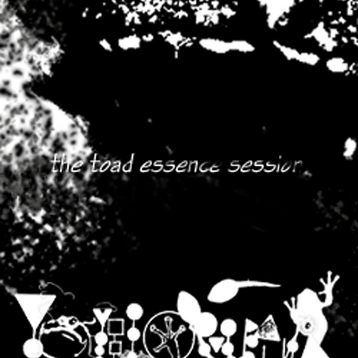 The Toad Essence Session | Phyllomedusa