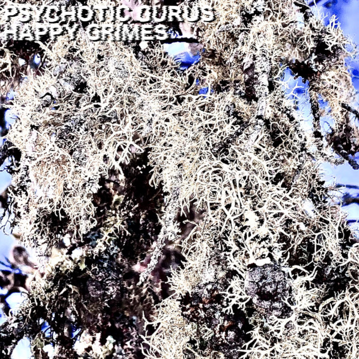 Happy Grimes | PSYCHOTIC GURUS