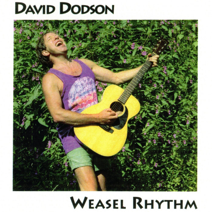 Weasel Rhythm | David Dodson