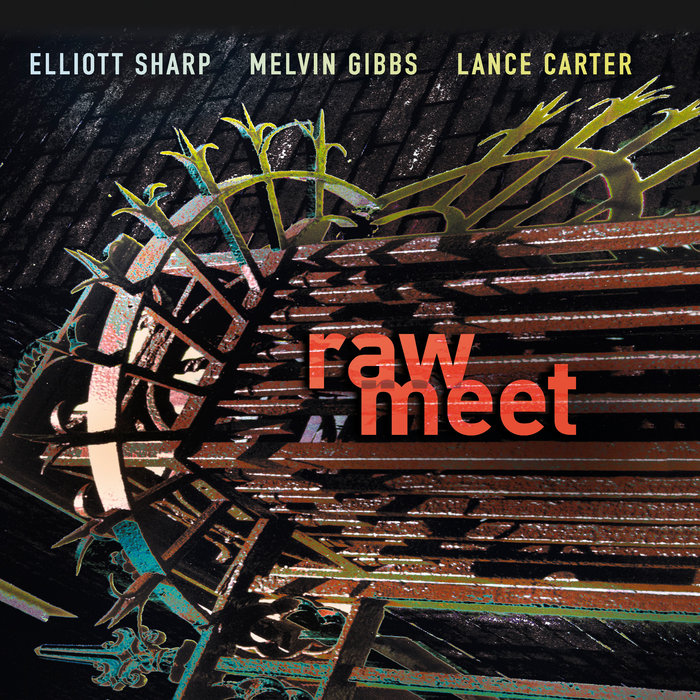 Raw Meet | ELLIOTT SHARP - MELVIN GIBBS - LANCE CARTER | Elliott Sharp