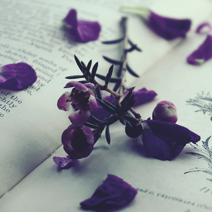 Violet | Ghosts Of The Divine