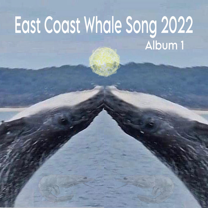 East Coast Whale Song 2022 - Album 1 | Dr Didge Dolphin