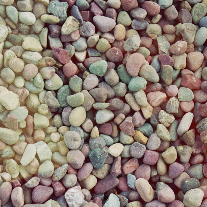 2016 (Kick Rocks) | TimHeld