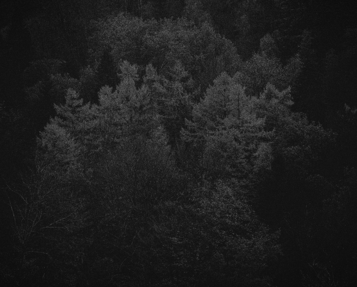 Forest Sorcery | Minor Erd Tree