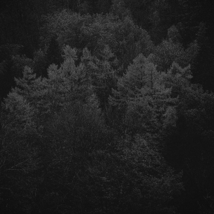 Forest Sorcery | Minor Erd Tree