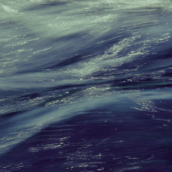 Seeweeds | Nobuto Suda