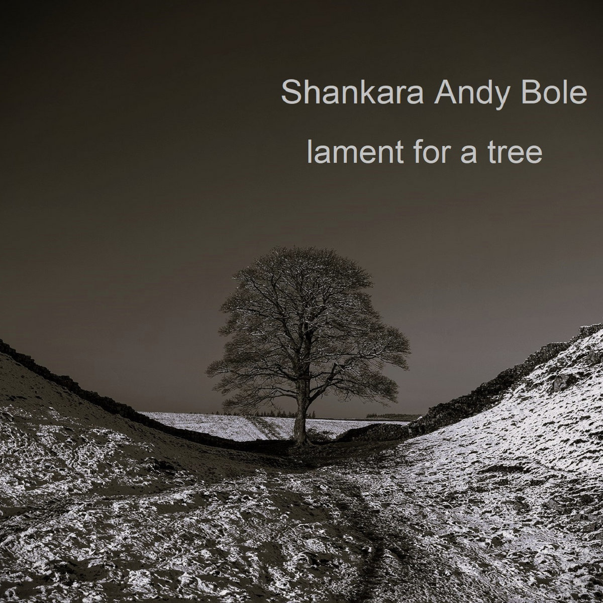 lament for a tree | Shankara Andy Bole