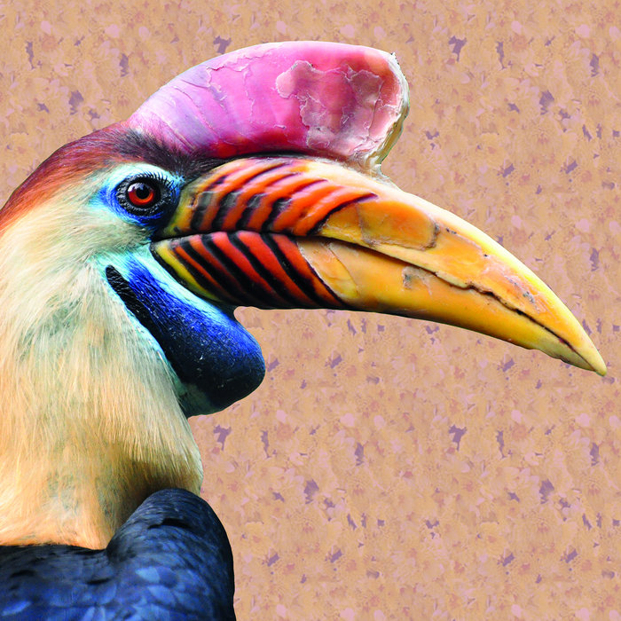 Granivore Instinctos | Alix Gastineau