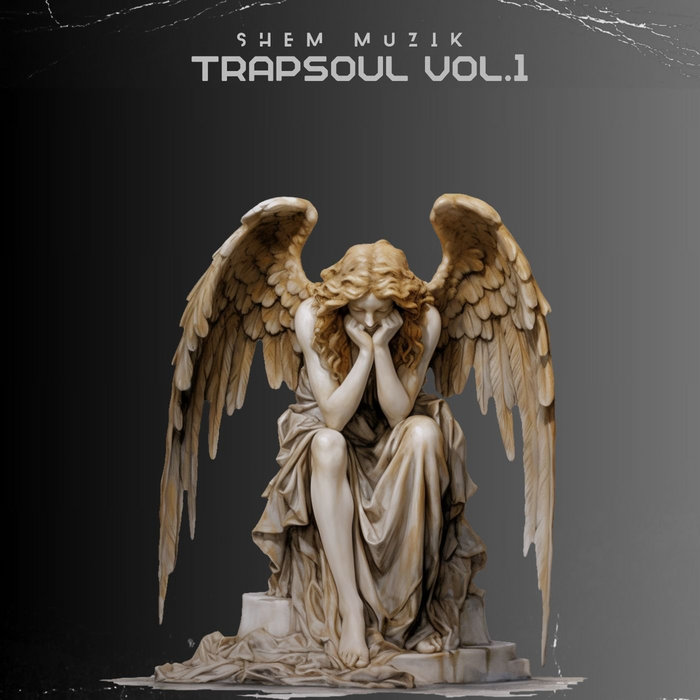 TrapSoul Vol.1 Sample Pack | Shem Muzik