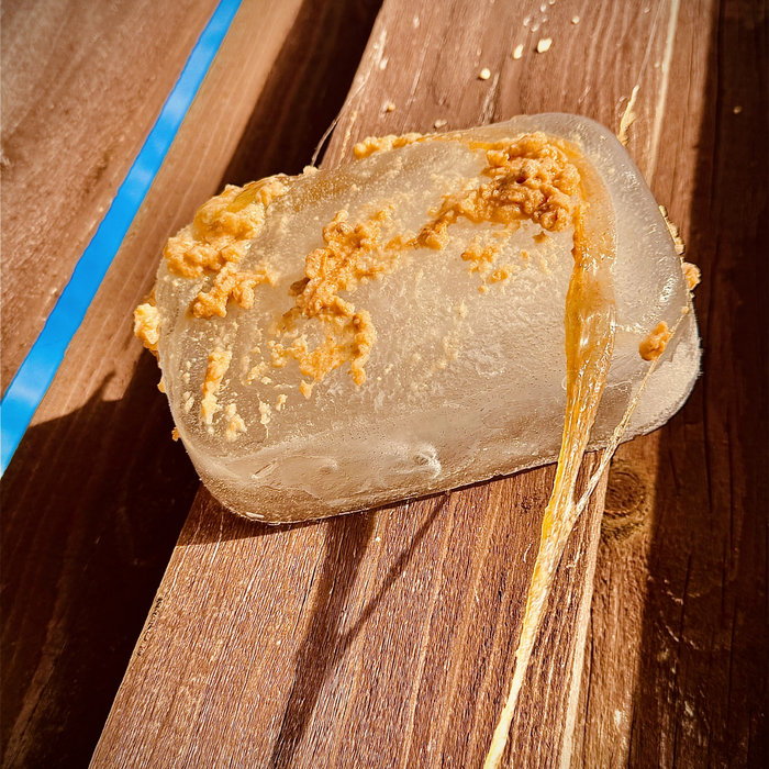 Protein Brick | Teen Brigade