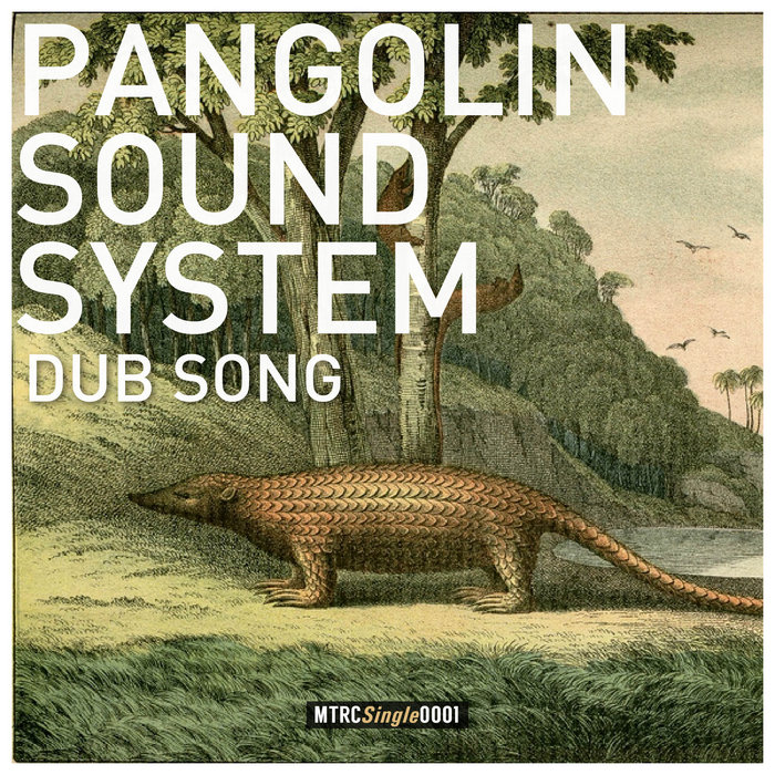 DUB SONG | Pangolin Soundsystem | MATRACA