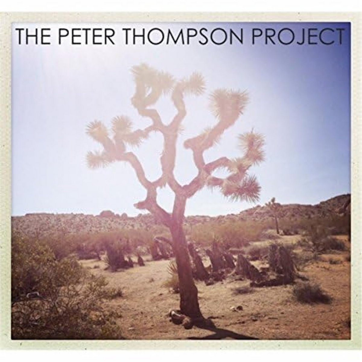 The Peter Thompson Project | The Peter Thompson Project