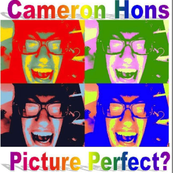 Picture Perfect? | Cameron Hons