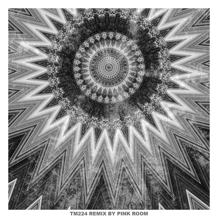 Tm224 Remix Pink Room Aka Sophie Jeannin