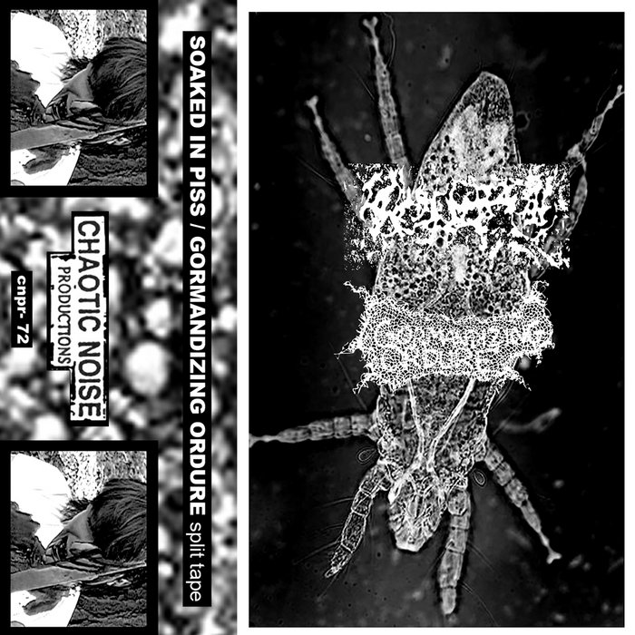 SPLIT WITH GORMANDIZING ORDURE | Soaked in Piss