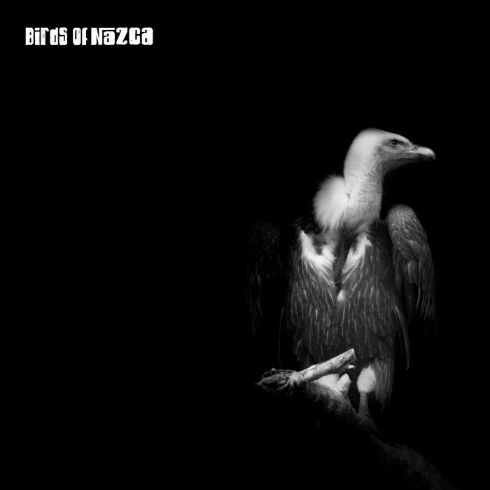 Birds of Nazca | Birds of Nazca