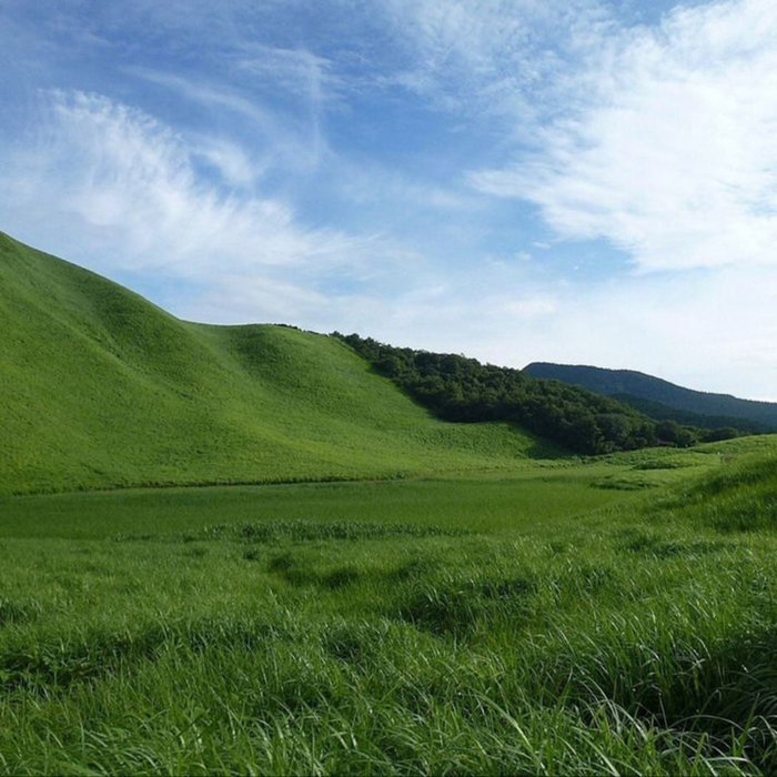 making a difference | as pretty as a picture