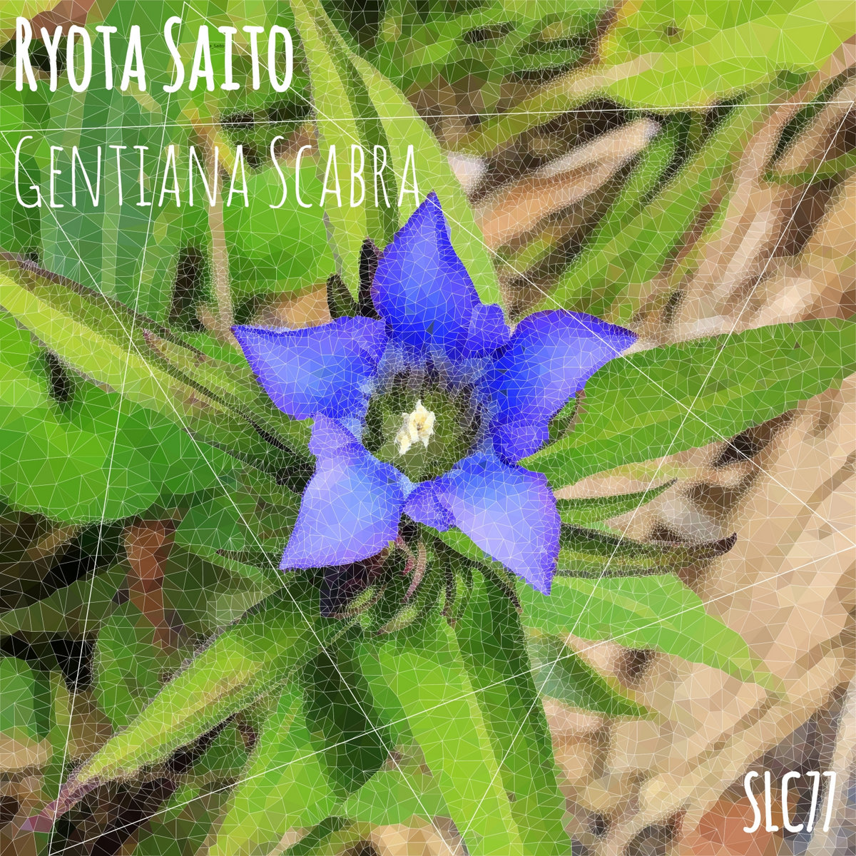 Ryota Saito - Gentiana Scabra [SLC77] | Ryota Saito | Soisloscerdos ...
