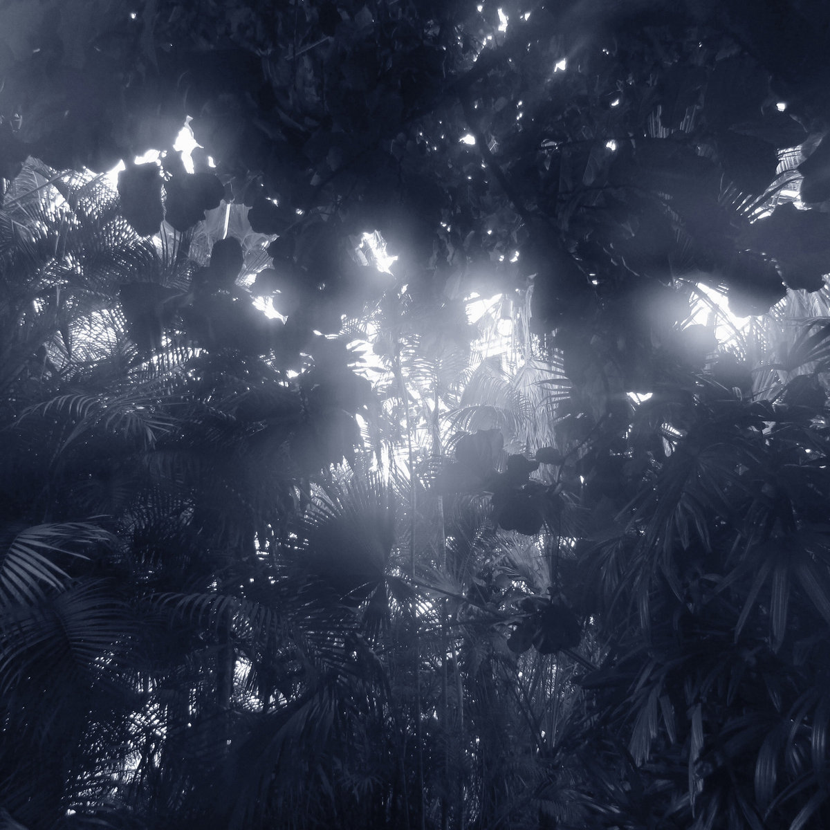 Celephaïs | Jonathan Rager