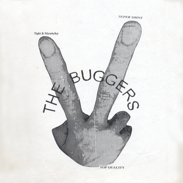 a concise history of The Buggers | The Buggers