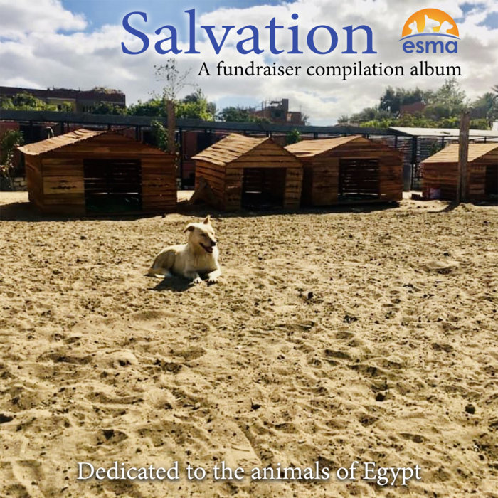 Salvation: A Fundraiser for ESMA and the Animals of Egypt | Snow Wolf ...