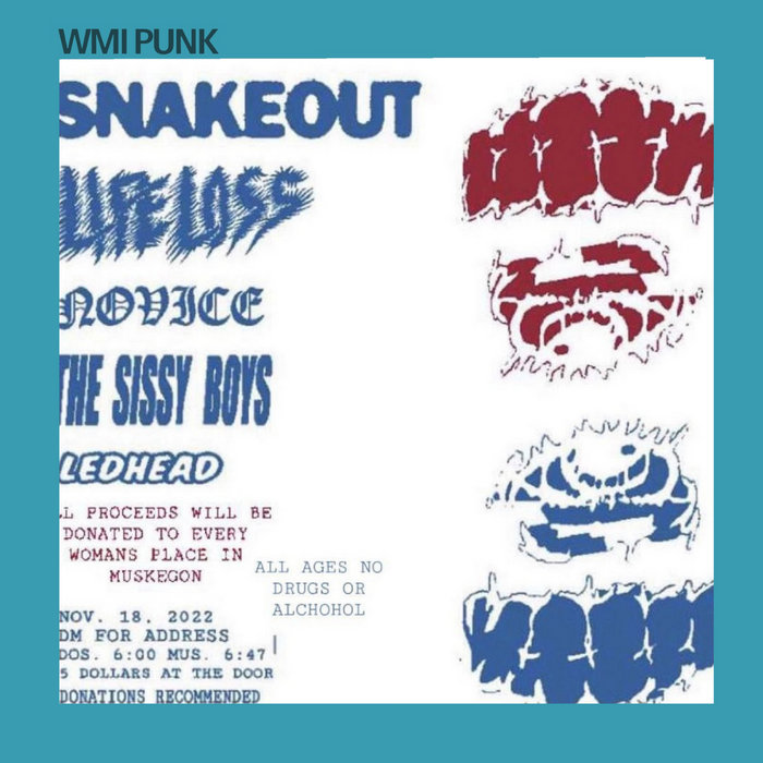 The Sissy Boys - Roosevelt Park Community Center 11-18-22 | The Sissy ...