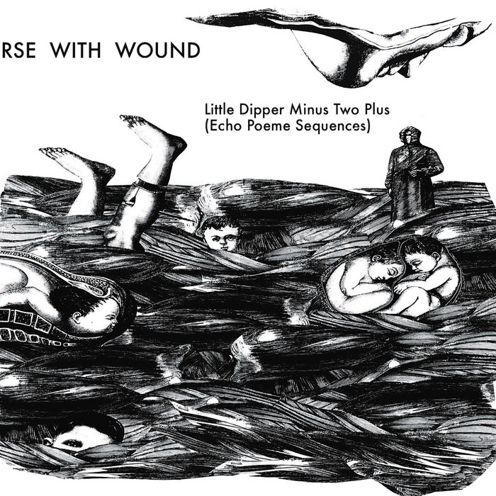 The Little Dipper Minus Two Plus (Echo Poeme Sequences) | Nurse With ...
