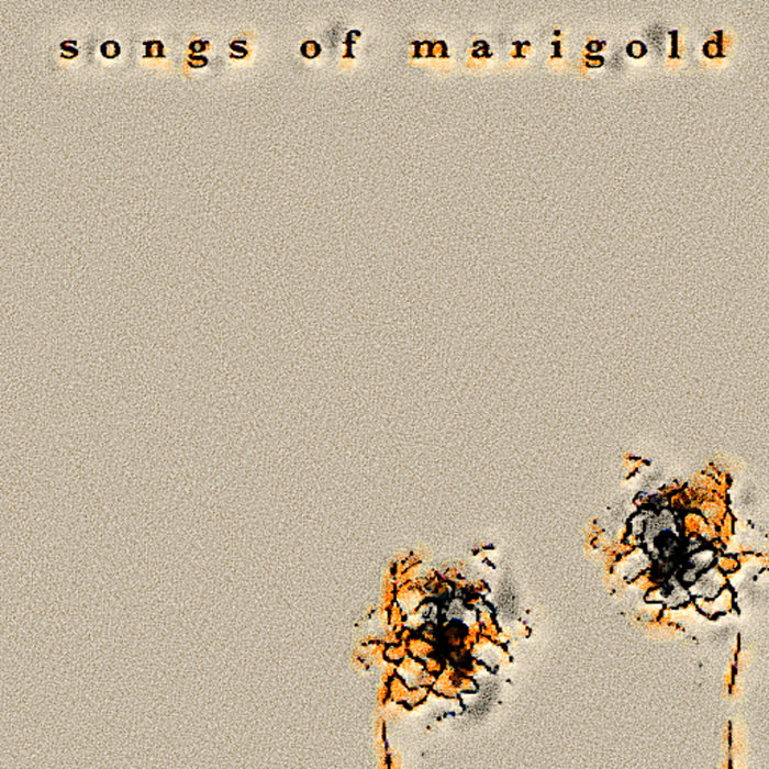 songs of marigold | songs of marigold