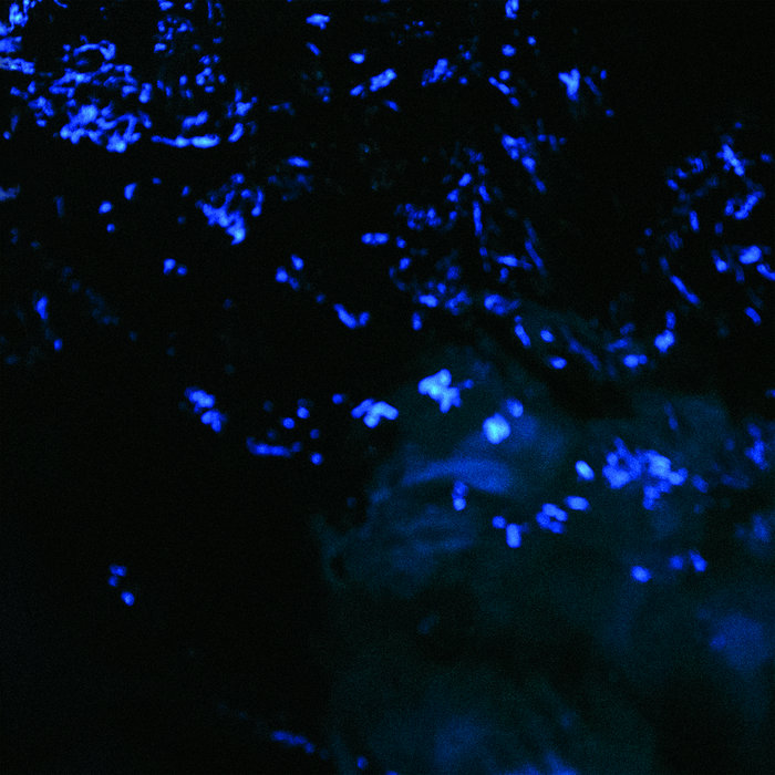 The Coldest Fire | GHUM