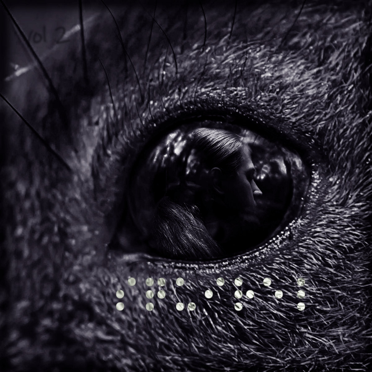 Squirrel vol. 2 | Orry Maine