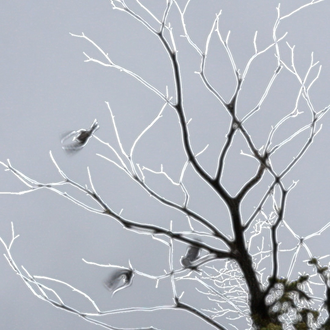 Original Myth EP | Caroline Lavelle & Andrew Bate | Caroline Lavelle