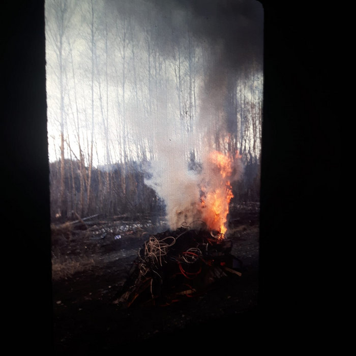 Folgers | Shijshme -Nicholas Petrescu