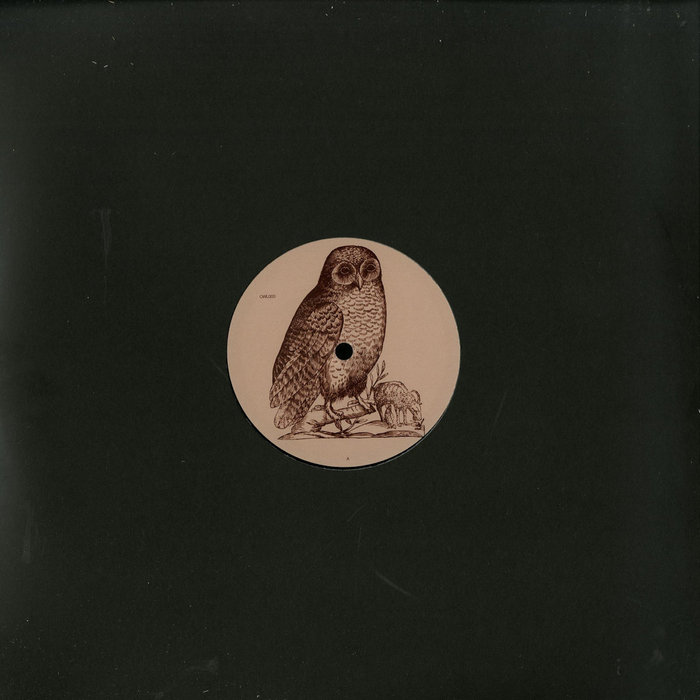 OWL 03 | Dead Rail | Topper