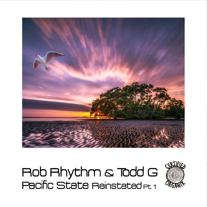 Pacific State Reinstated Pt.1 | Todd G | Certified Organik
