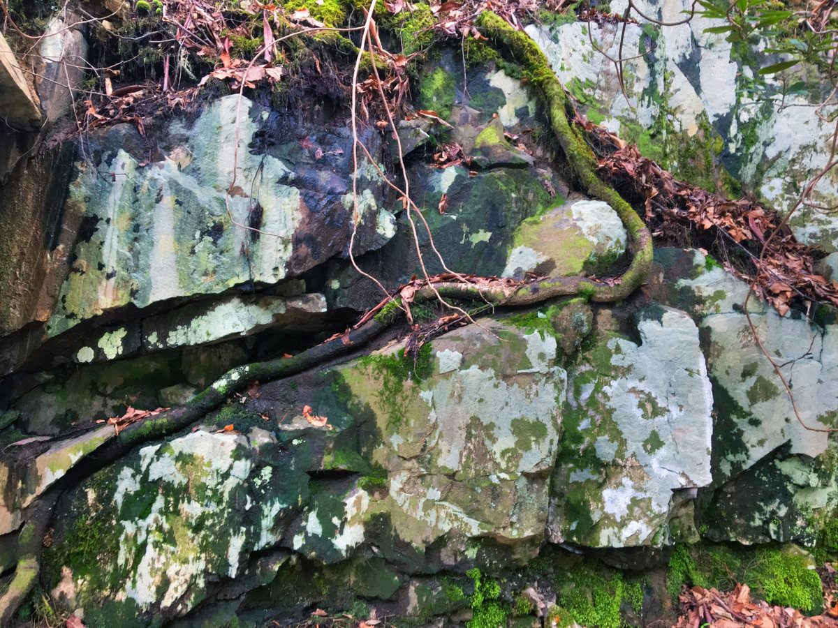 Forethoughts | John Conley