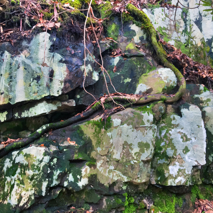 Forethoughts | John Conley