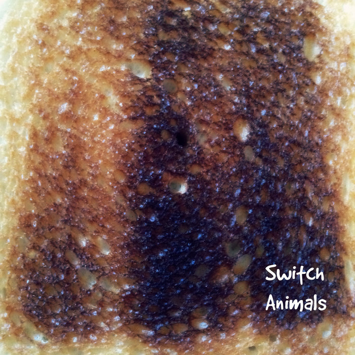Toast | Switch Animals