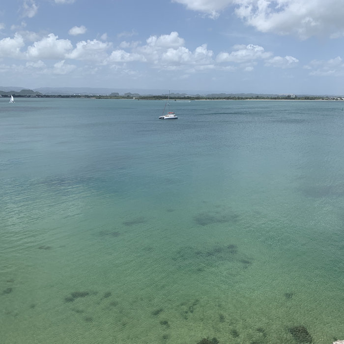 Classic Sampler | Last Native