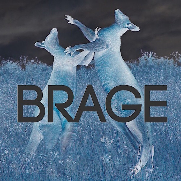 BRAGE | Brothers Rage