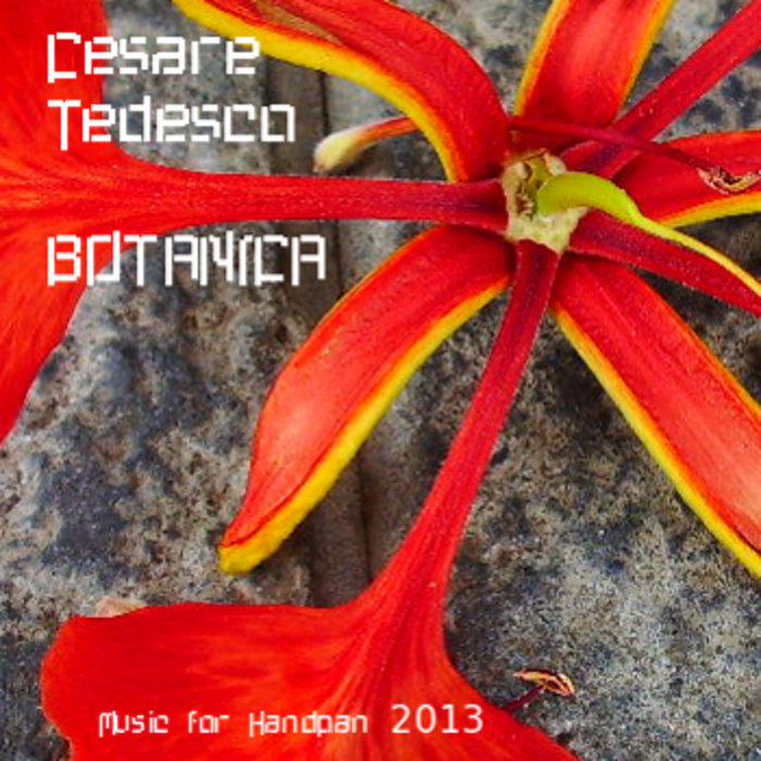 Botanica - Music for Handpan | Cesare Tedesco